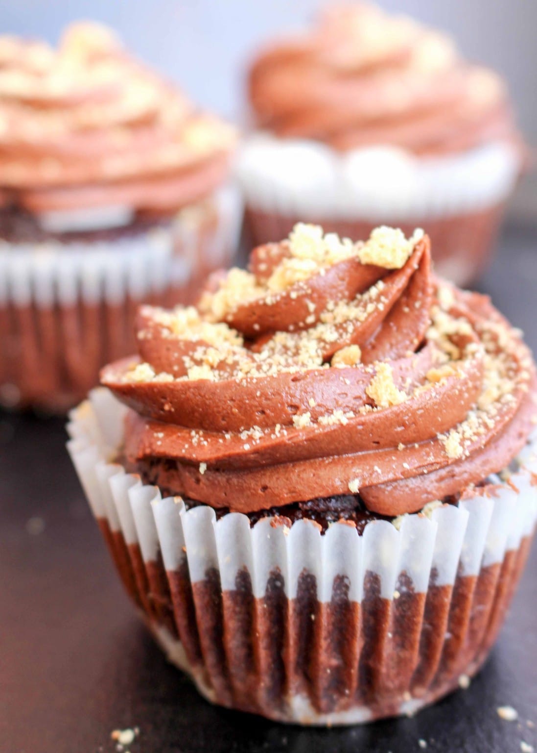 S'mores Cupcakes - Chocolate with Grace